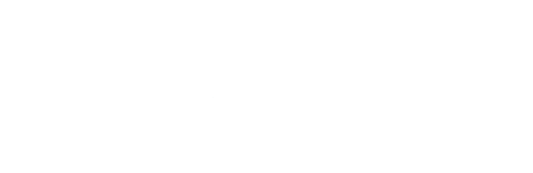 FDOT Conservation Efforts for Florida Panther Recovery