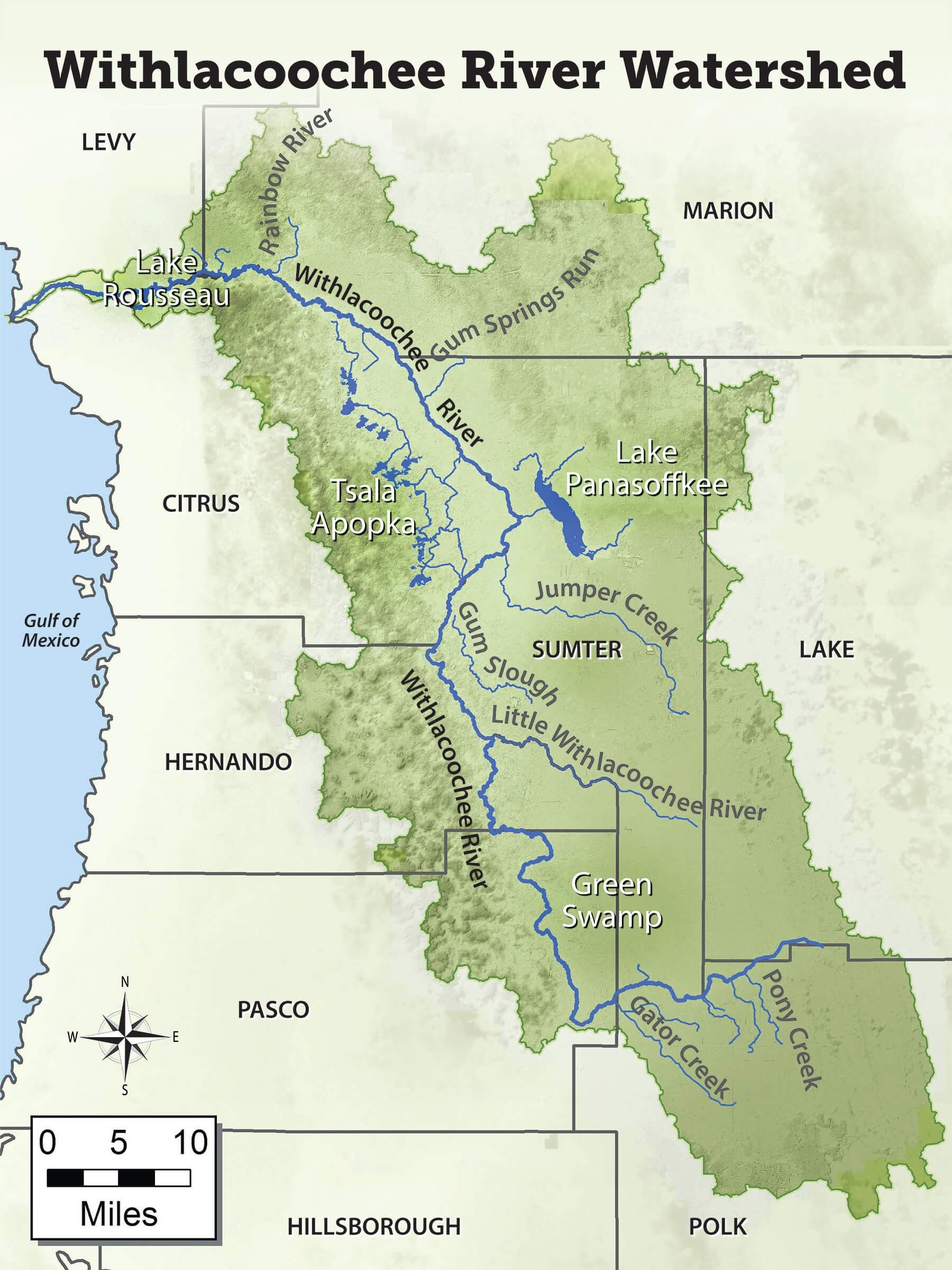 Less freshwater flowing to lower Withlacoochee River - Florida Specifier