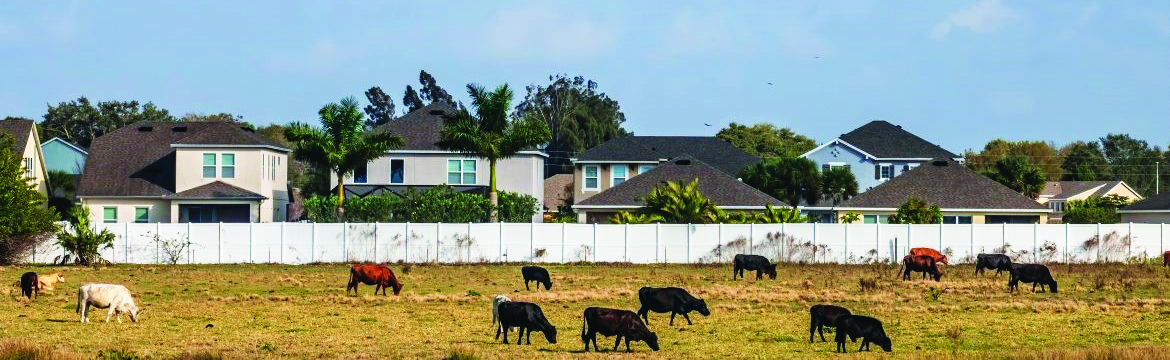 Understanding Florida Land Use and FLUCCS Codes: A Guide for ...