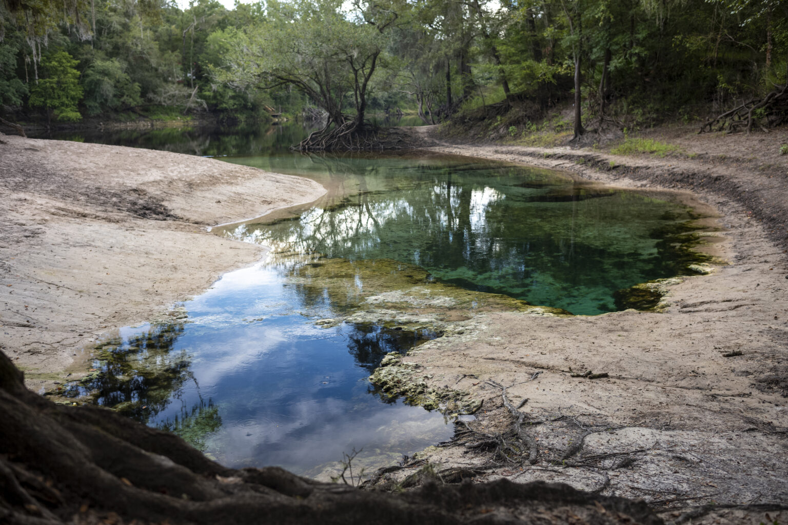 Telford Spring: A Piece of the Puzzle in Protecting Florida's Resources ...