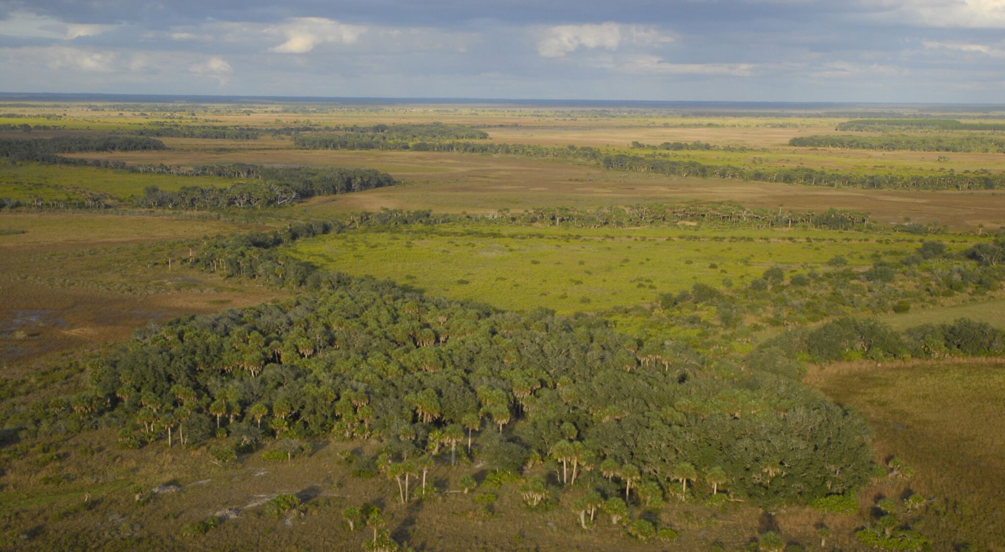 Florida Cabinet Approves $317M for Land Conservation Projects